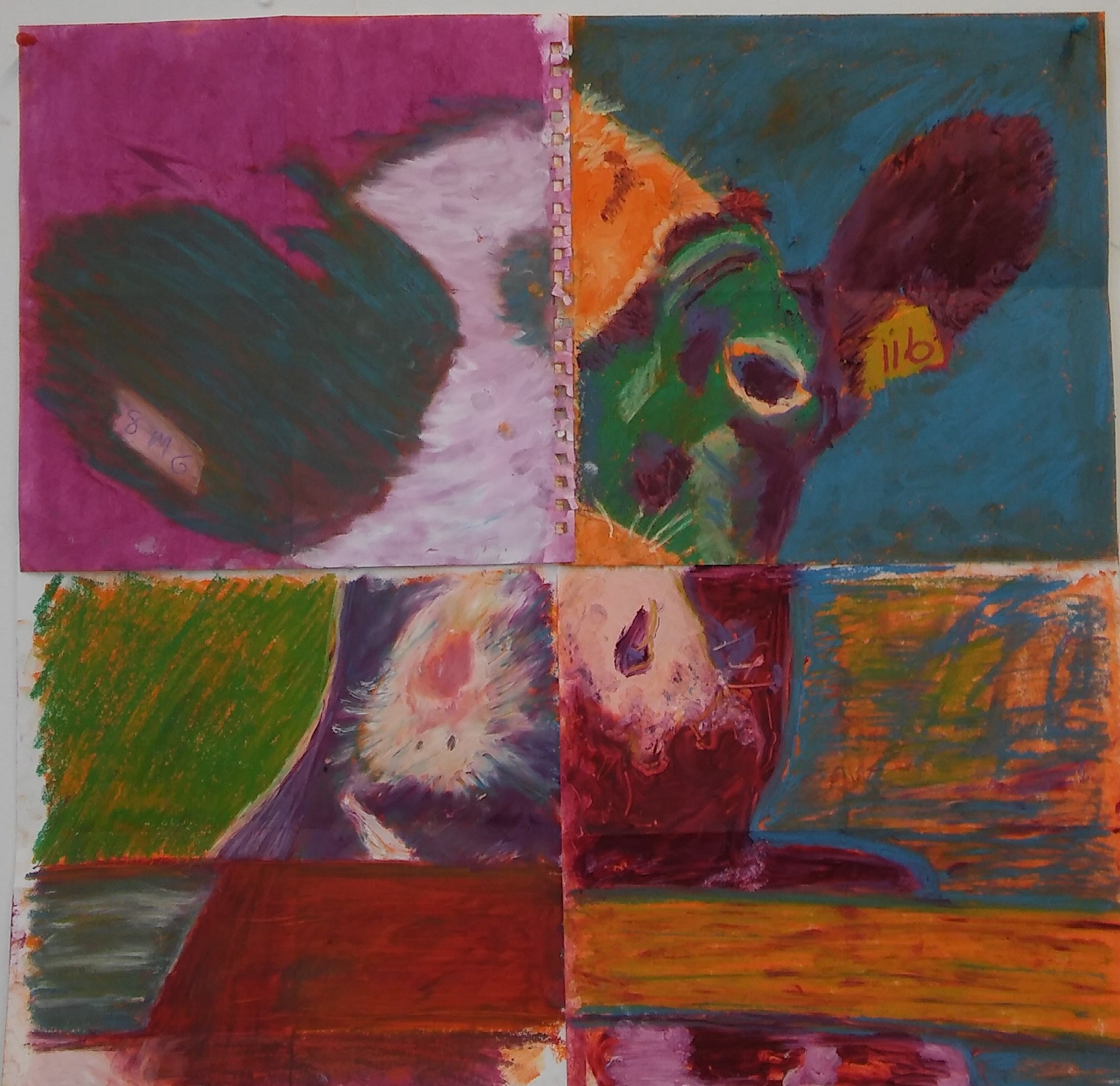 Kernow Carers Colour Group - FEAST