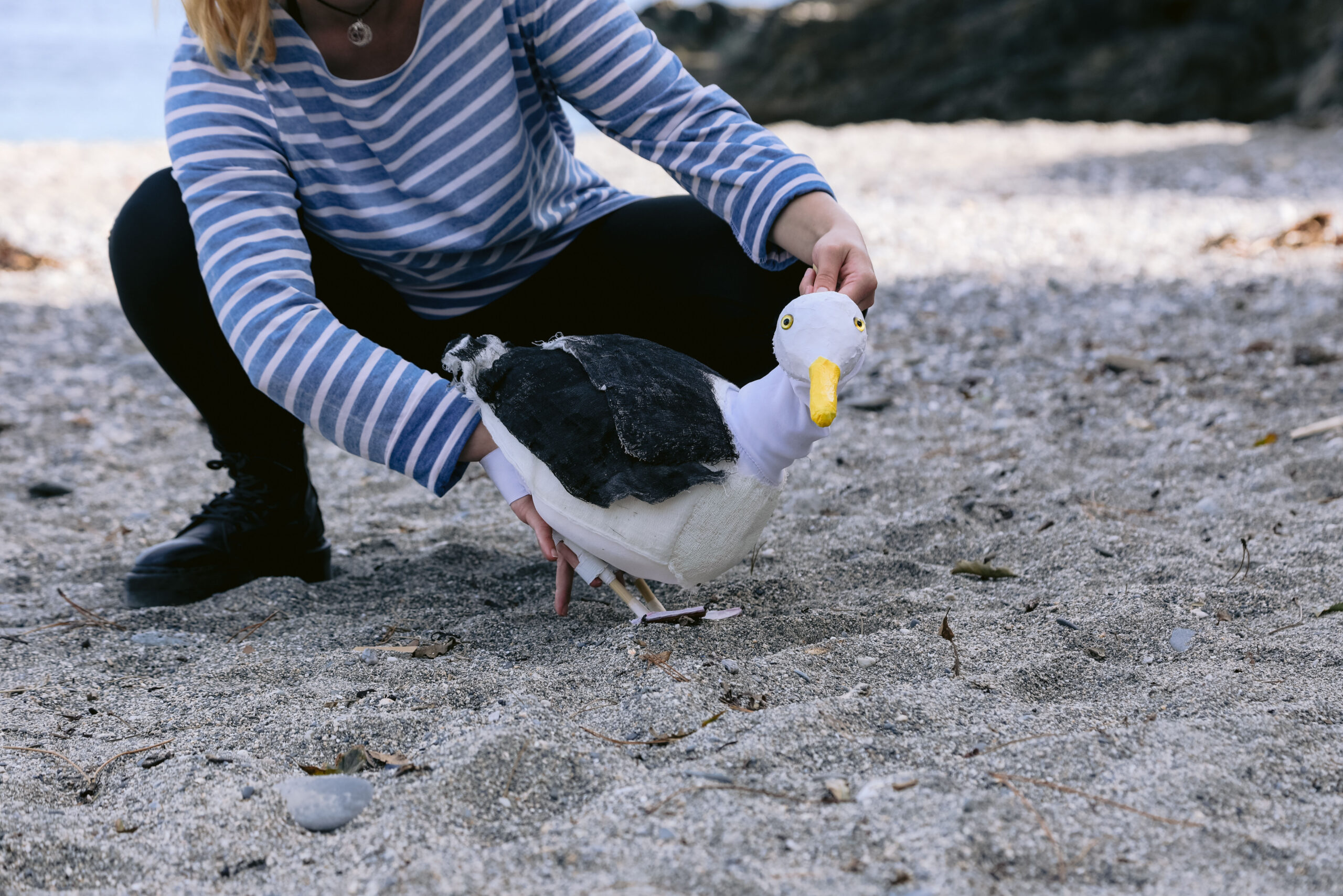 When Seagulls Saved the World - FEAST