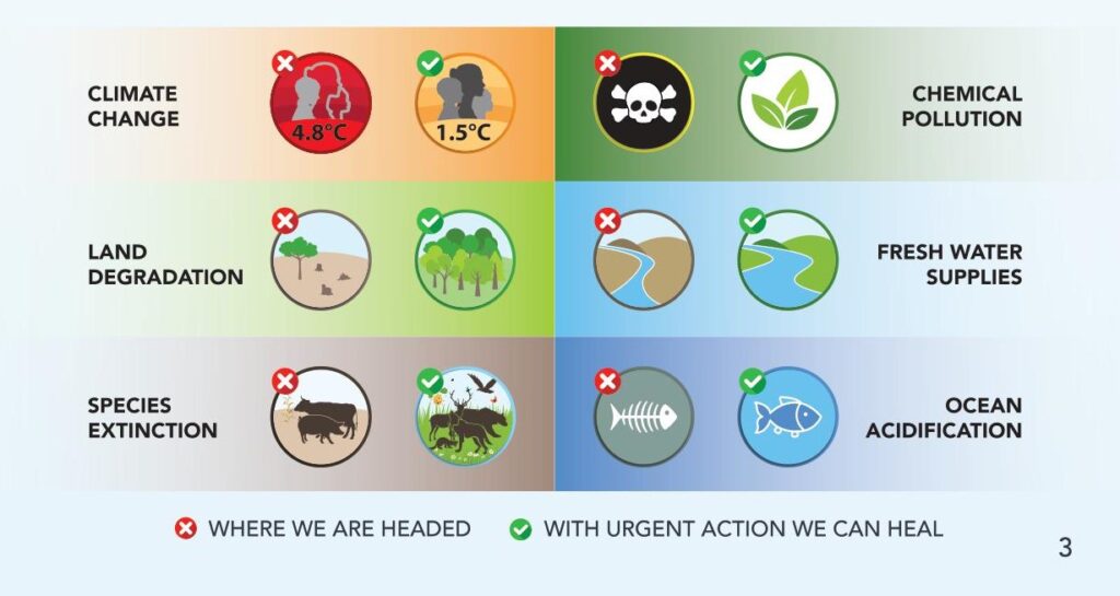 Climate Action Animated Films - FEAST