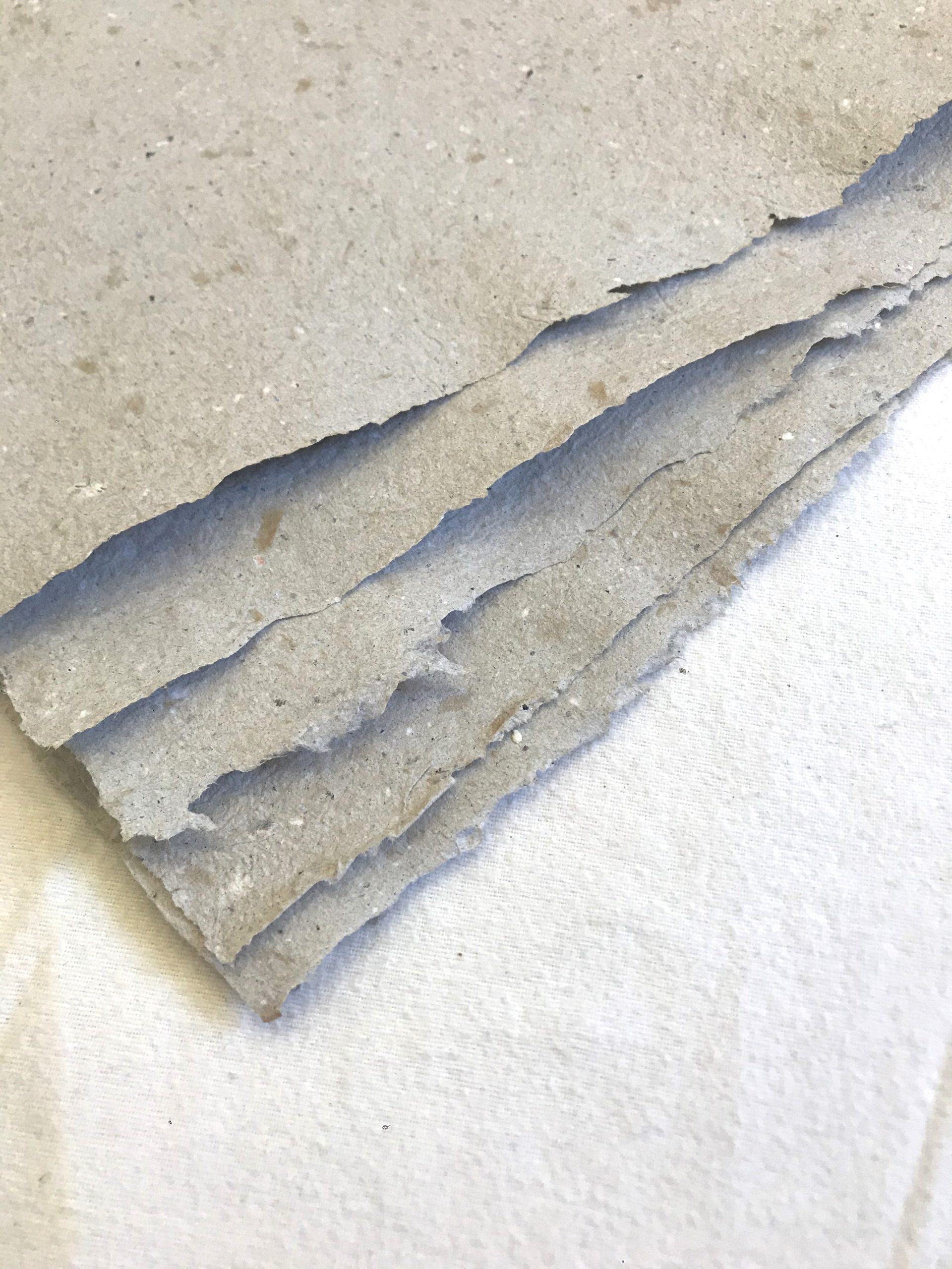 Paper-Making: a Winter Ritual - FEAST